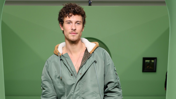 Shawn Mendes Teased An Album Tracklist & Unreleased Song