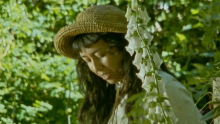 Haley Heynderickx Announces 'Seed Of A Seed' Release Date