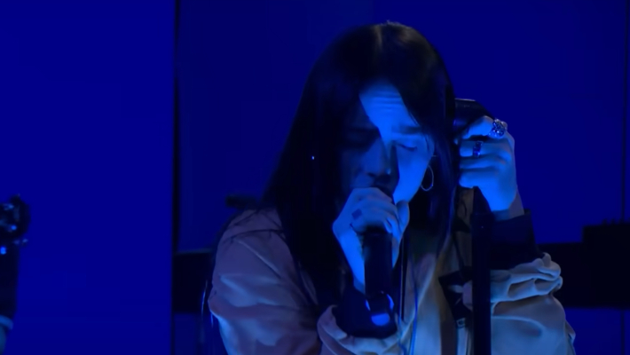 Billie Eilish And Finneas Performed 'Wildflower' On 'SNL'