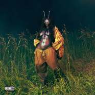 SZA s Lana Cover Turns Her Into A Shimmering Alien Bug SZA s Lana Cover Turns Her Into A Shimmering Alien Bug