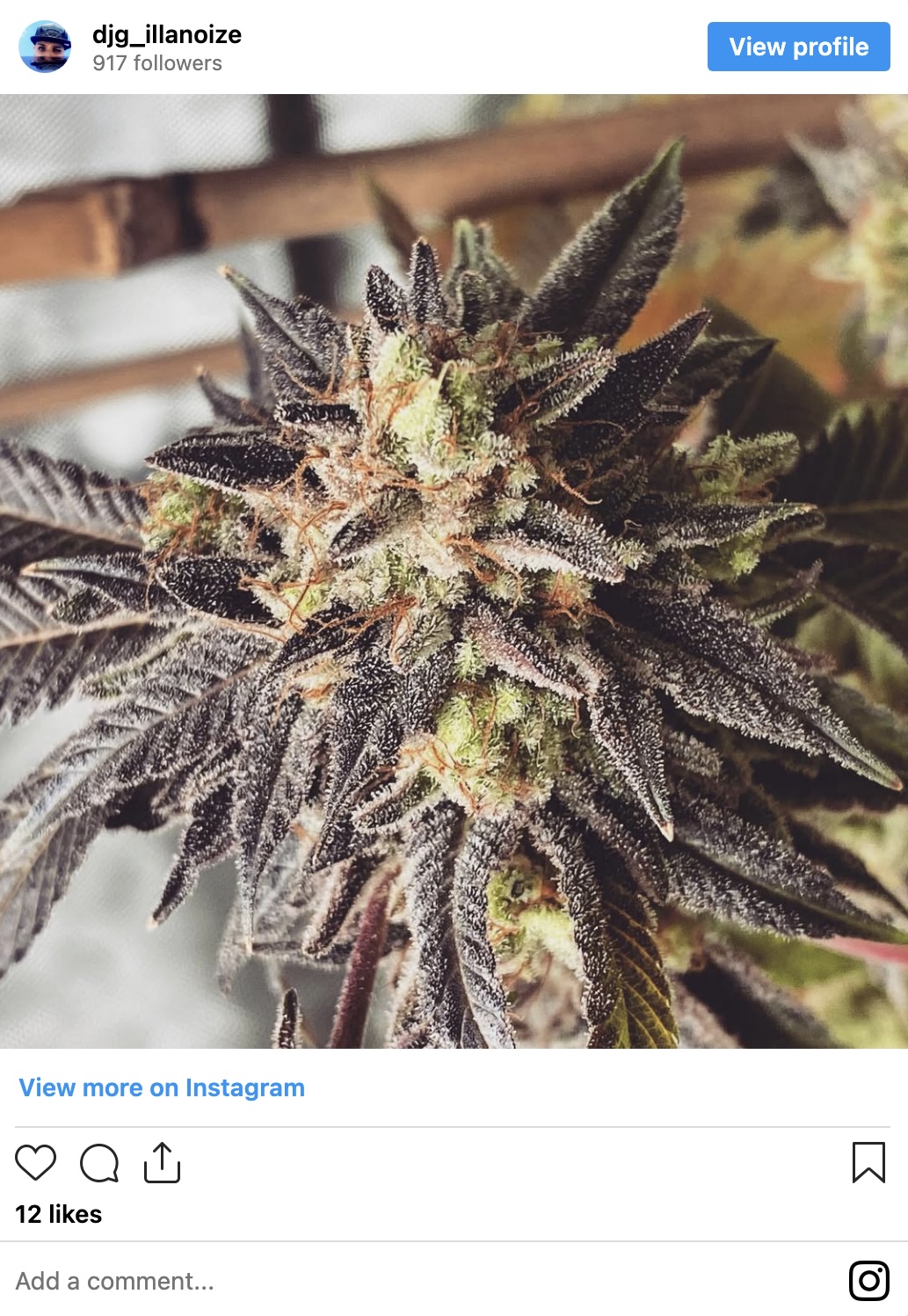 Best Weed Strains For Sex (2025) -- Sativa, Indica & Hybrid